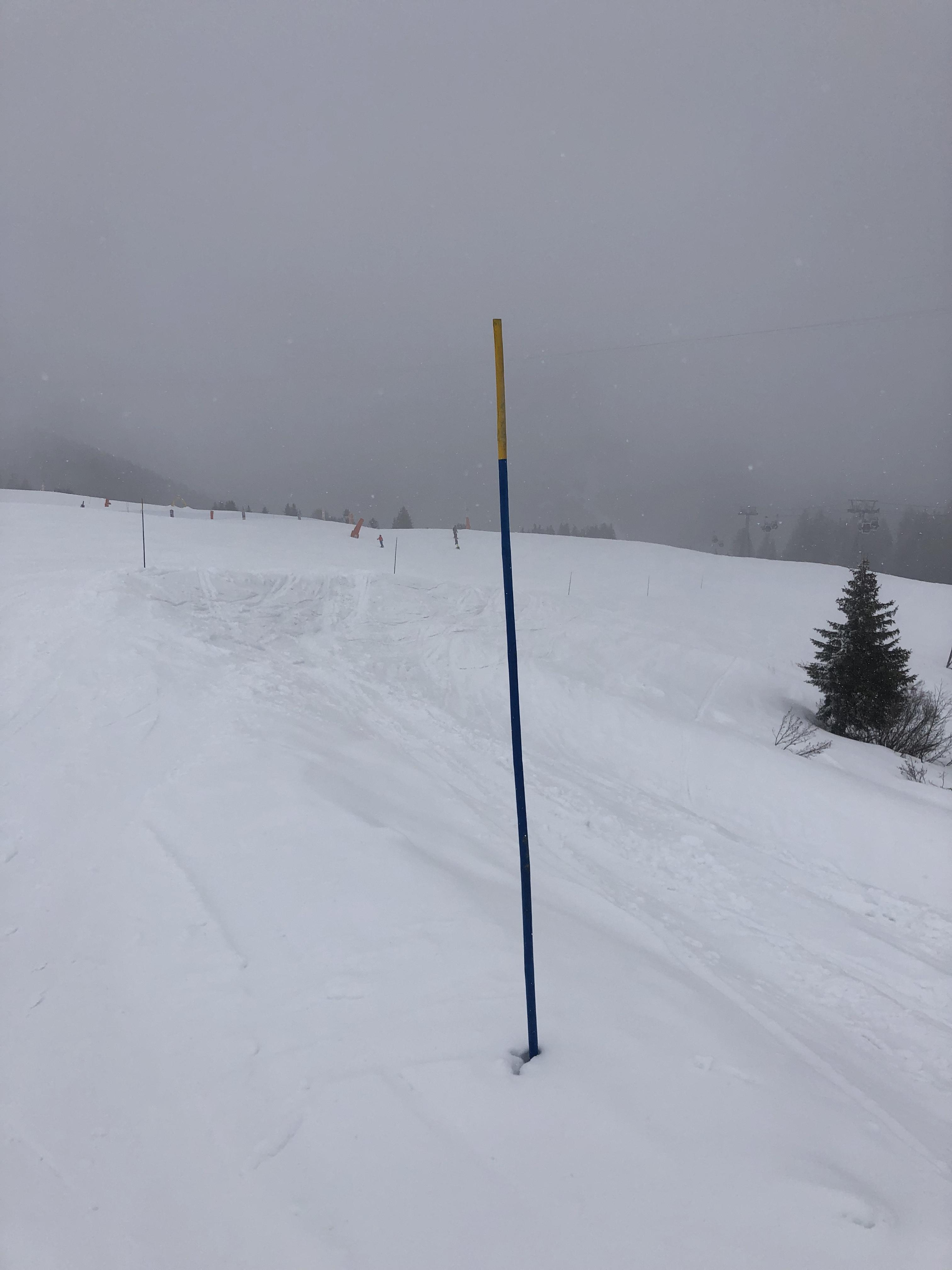 La Tania Ski Blog - Latest news, snow reports, ski information, photo ...